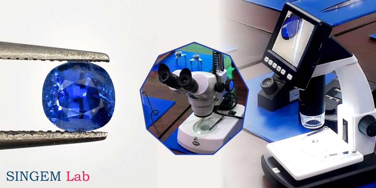 Singem Lab #1
